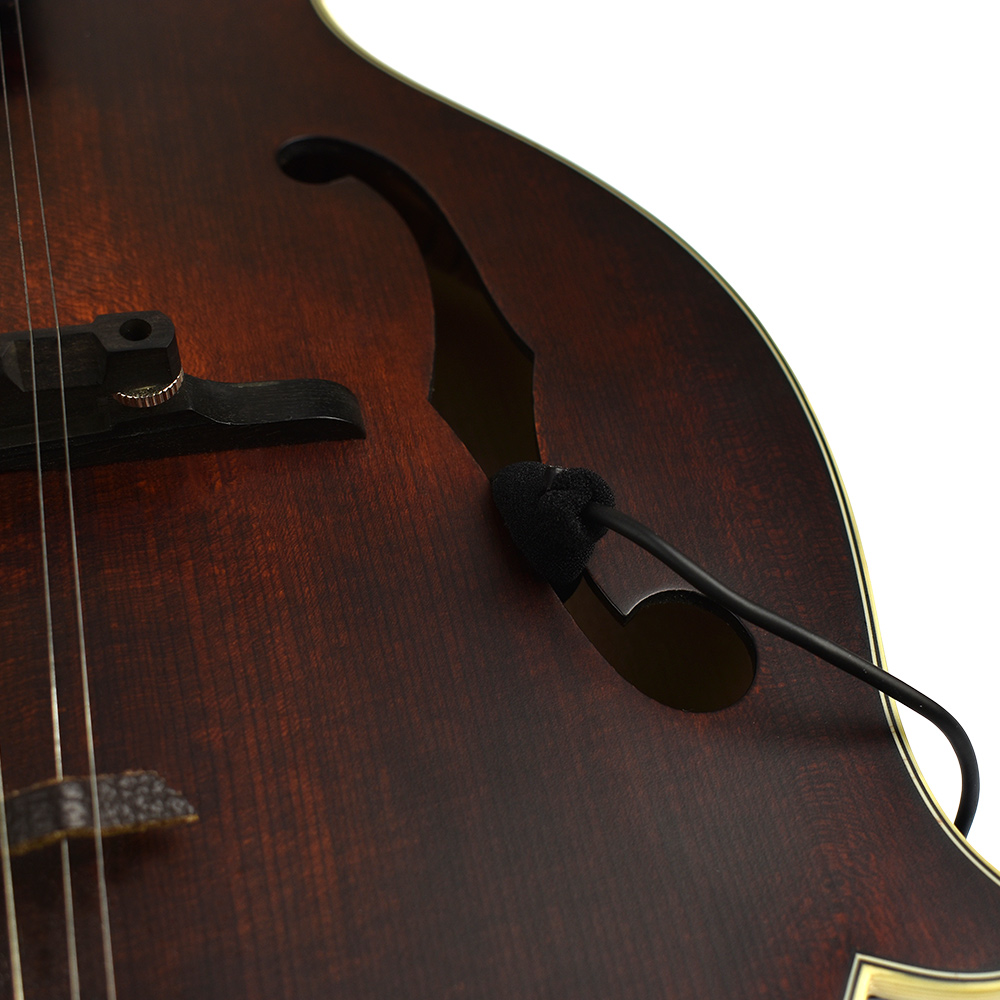 CloseUp® System for Mandolin - Your Heaven Audio